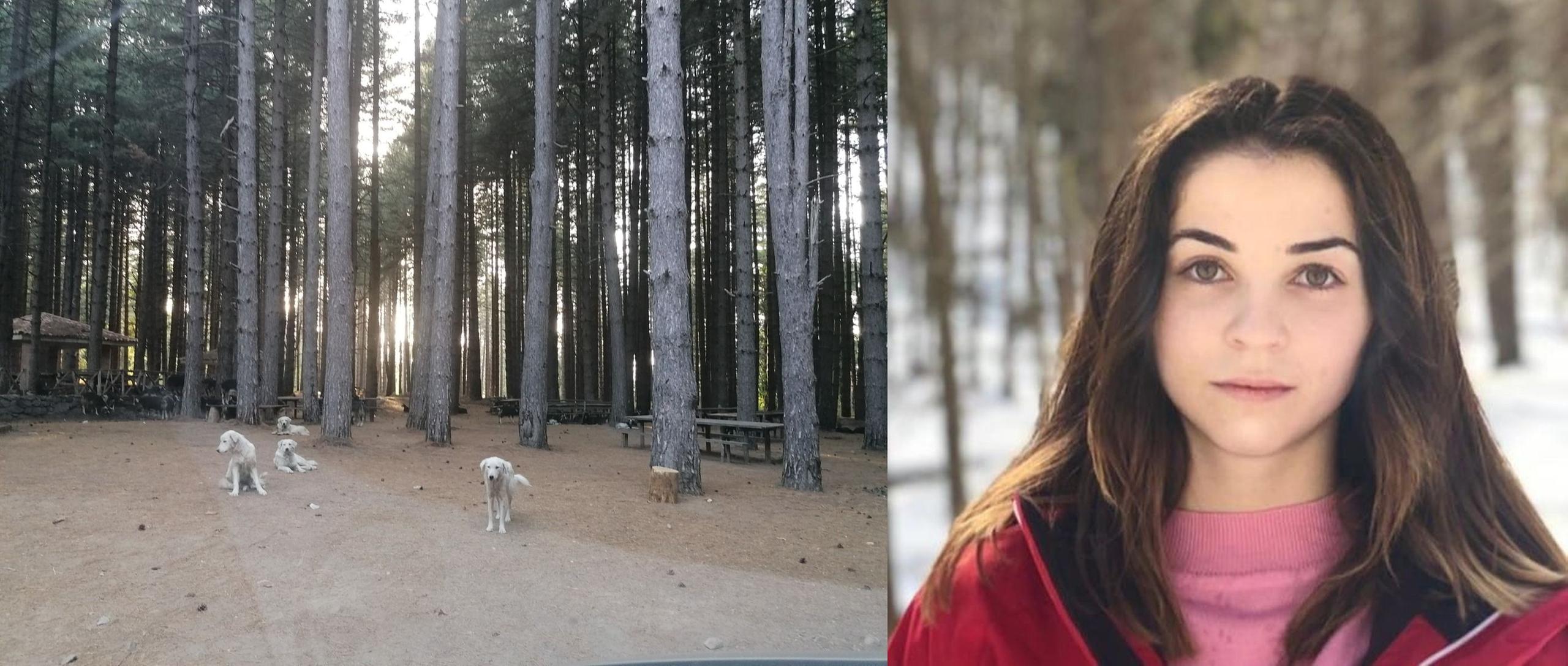 Ragazza sbranata dai cani, il papà: Ragazza sbranata dai cani, il papà: